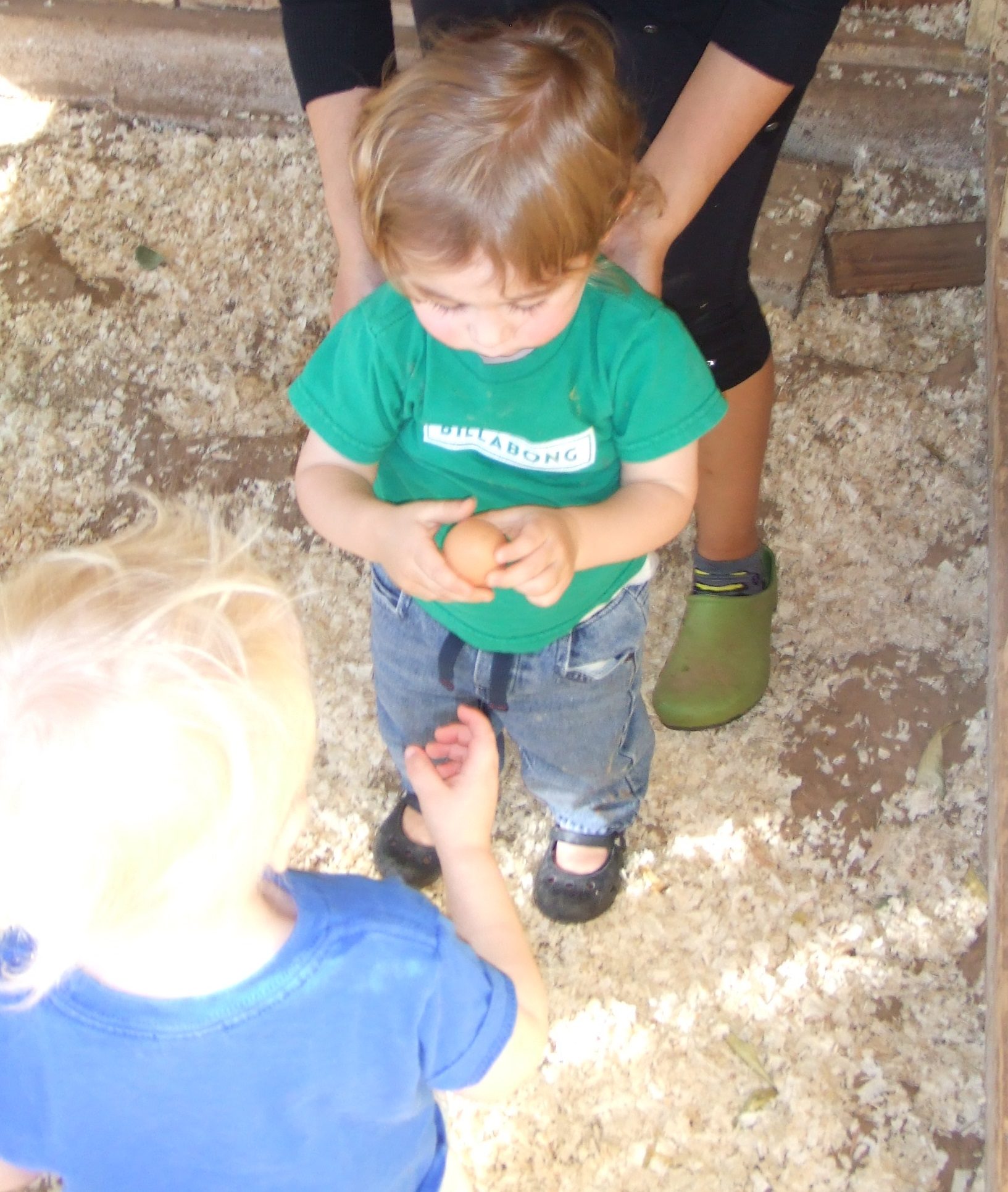 Animal Care With Toddlers CV Preschool Animal Care With Toddlers CV Preschool