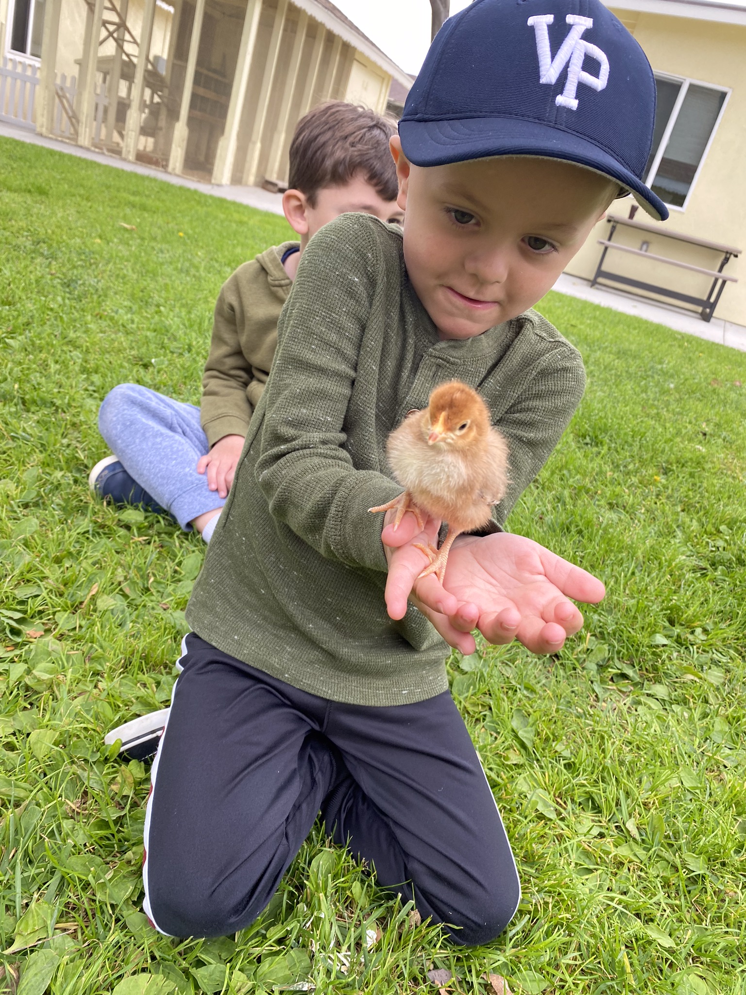 It's Baby Chick Time at Children's Village Preschool of Orange - CV ...